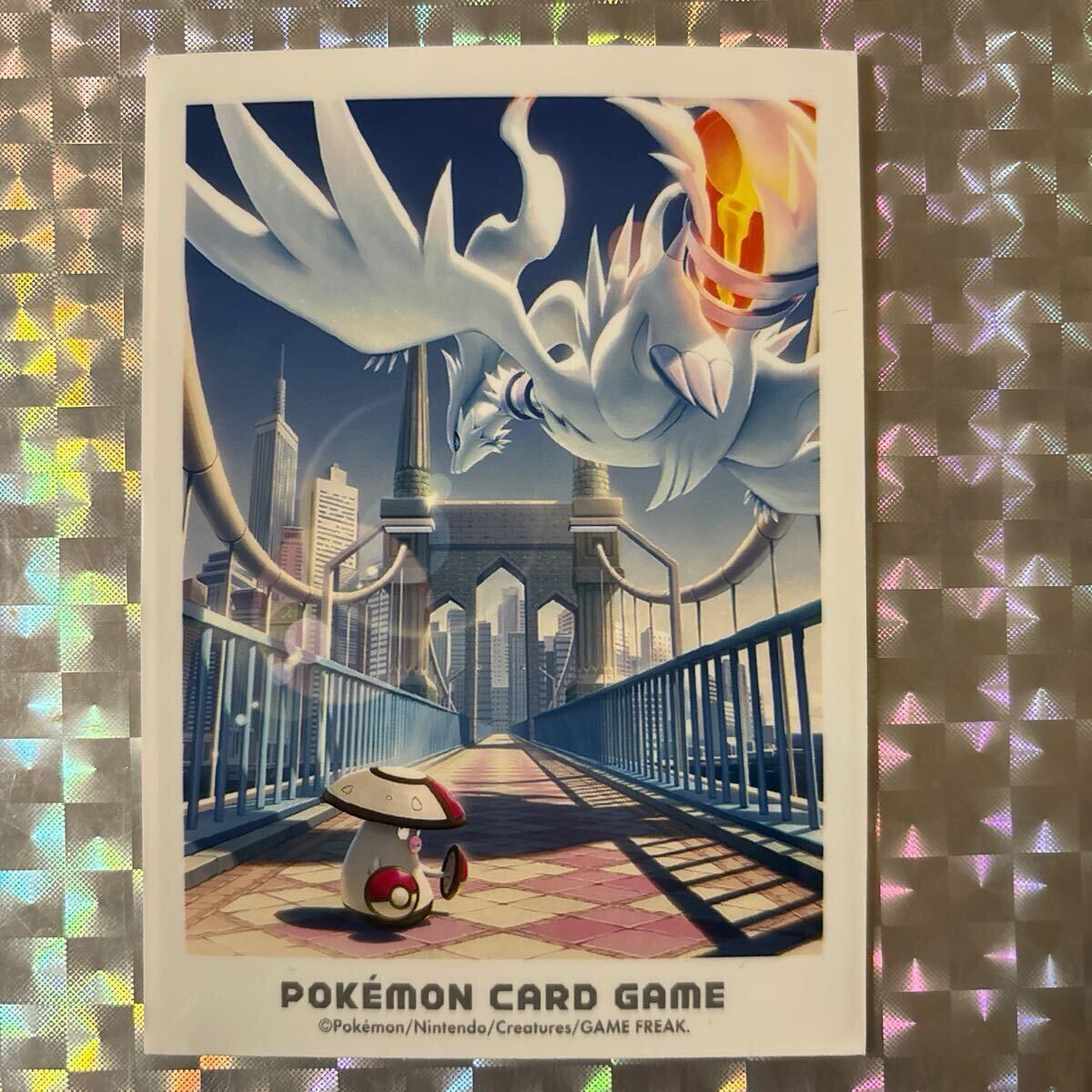 Yahoo!オークション - ギルガルド [sv3a 073/062 AR] [HP150 鋼タイプ]...