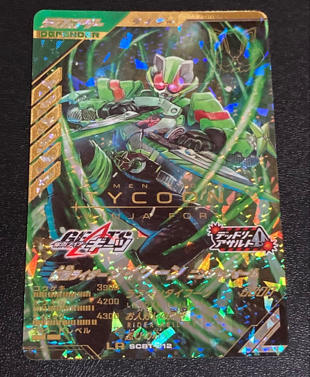 ガンバレジェンズ シンクロデッキブースター LR 仮面ライダー ガンバレジェンズ シンクロデッキブースター LR 仮面ライダー