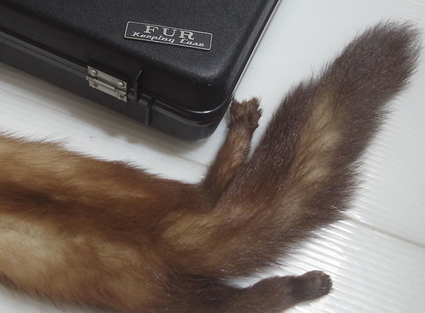 レトロ 本革テン毛皮 FUR KEEPING CASE 衣装ケース トランク(その他)｜売買されたオークション情報、yahooの商品情報をアーカイブ公開 - オークファン（aucfan.com）