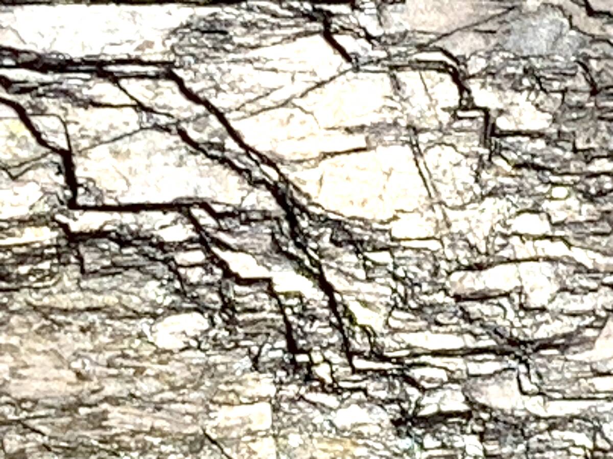 Yahoo!オークション - 紫蘇輝石原石 Hypersthene ハイパーシーン・34g...