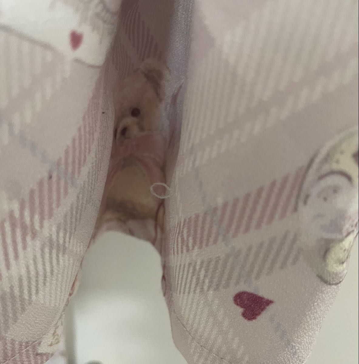 難あり LIZLISA Sewing Bear柄セットアップ ホワイト|Yahoo 難あり LIZLISA Sewing Bear柄セットアップ ホワイト|Yahoo