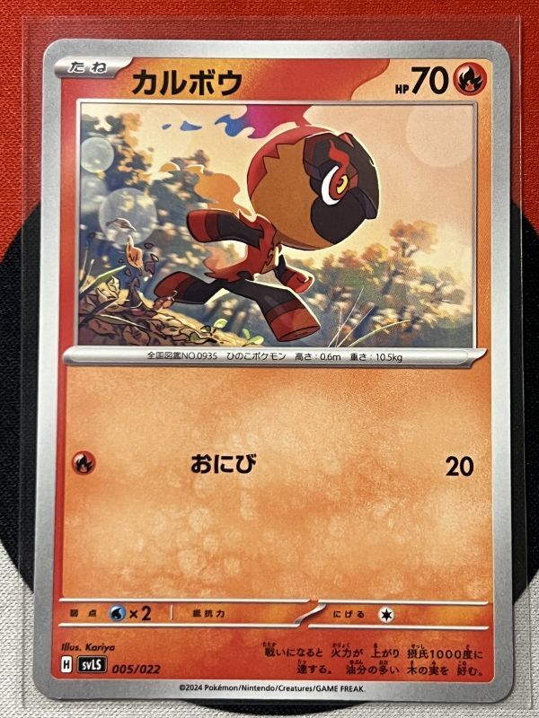 Yahoo!オークション - 【送料85円～】 カルボウ svLS スターターセット...