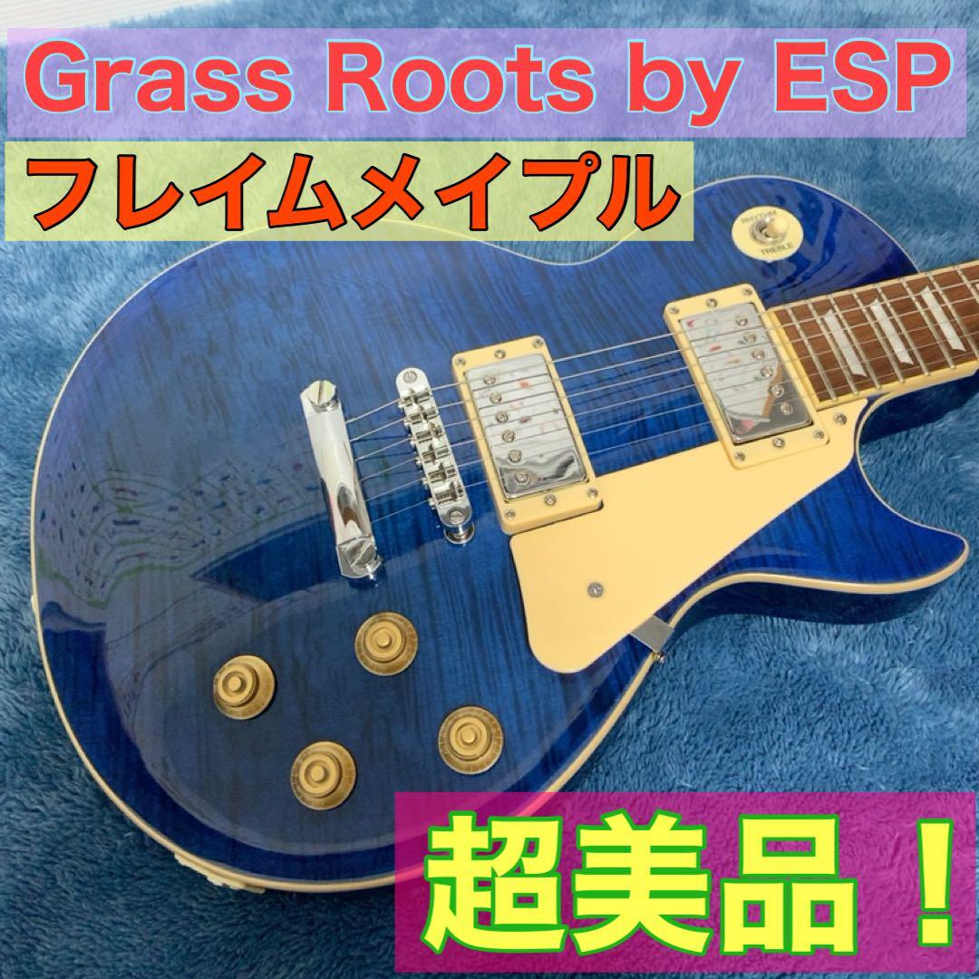 超 Grass Roots by ESP レスポール セットネック(その他)｜売買されたオークション情報、yahooの商品情報をアーカイブ公開 - オークファン（aucfan.com）