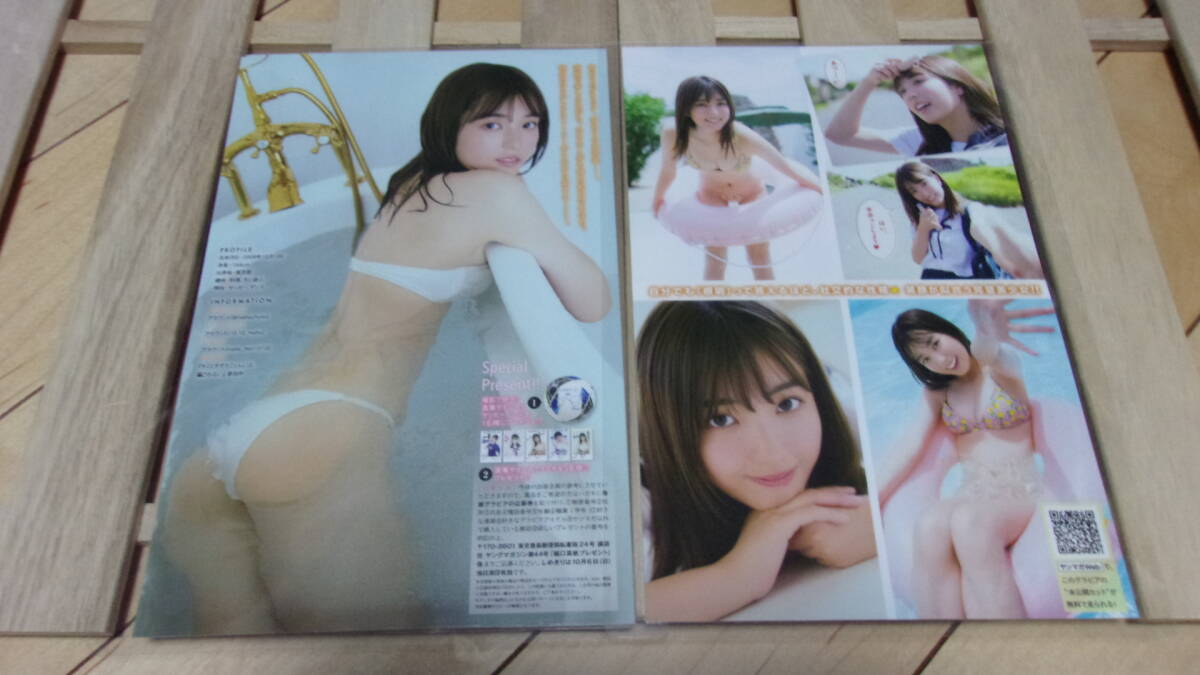 Yahoo!オークション - 堀口真帆 超絶美少女 B5雑誌切抜ラミネート4P T1...