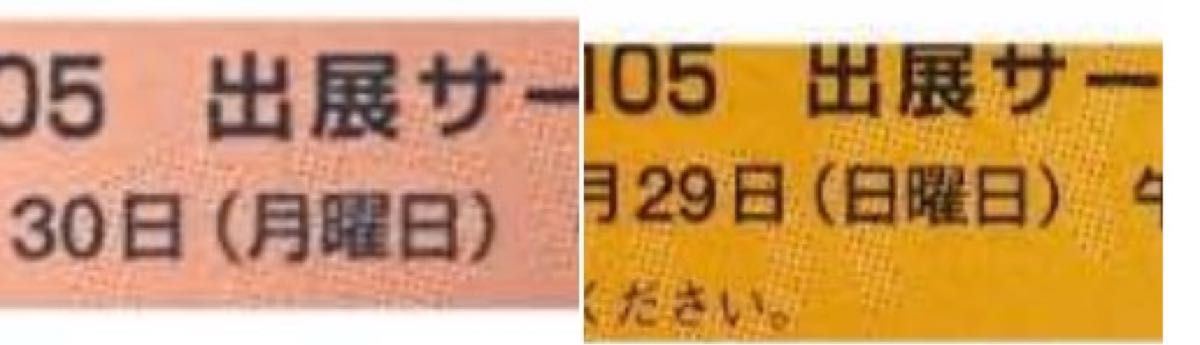 C105 コミックマーケット サークルチケット 2日分 通行証 サチケ C105 コミックマーケット サークルチケット 2日分 通行証 サチケ