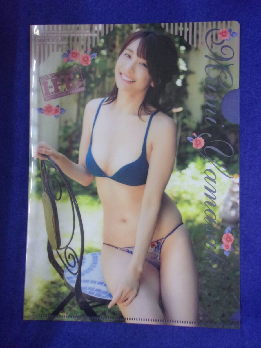 Yahoo!オークション - E01-078 付録のみ 山崎真実 クリアファイル ヤン...