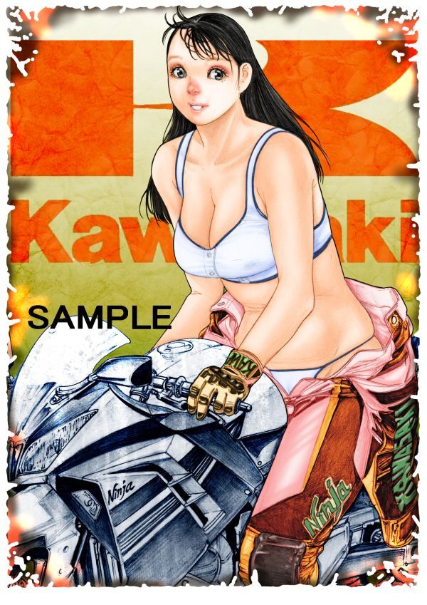 Yahoo!オークション - 鐵馬と美女 「まだまだ走るわよ」kawasaki ninja...