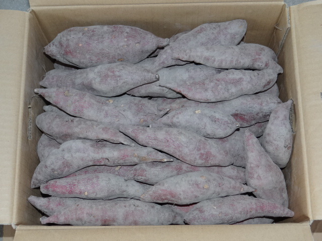 Yahoo!オークション - どろ付き鳴門金時 無農薬 13kg