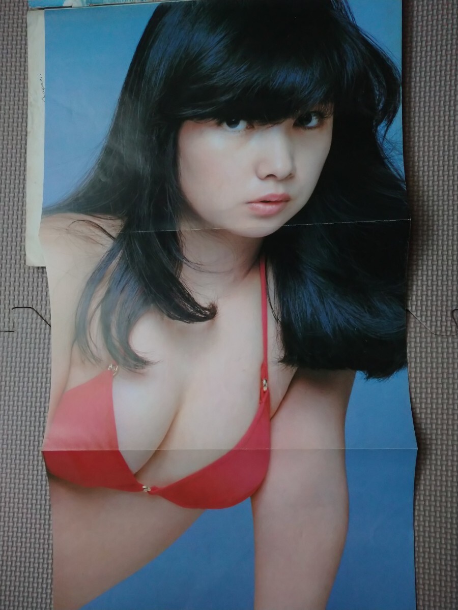 Yahoo!オークション - GORO 1976年12号6/24 秋本圭子 付録ピンナップポ...