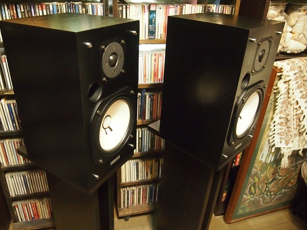 Yahoo!オークション - NS-10M（T）