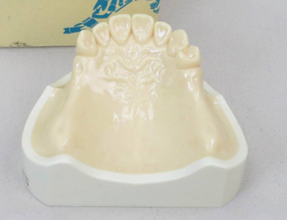 Yahoo!オークション - [G436] ニッシン 1色レジン製顎模型 E1-553 歯科...