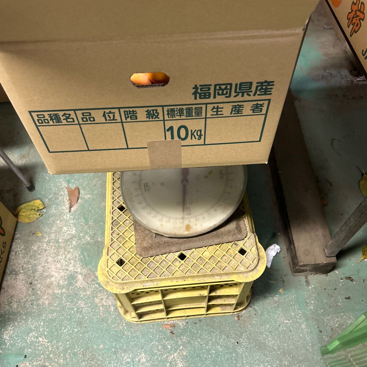 Yahoo!オークション - 富有柿約10キロ規格外品