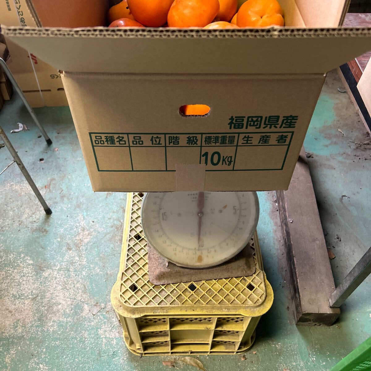 Yahoo!オークション - 渋柿約10キロ