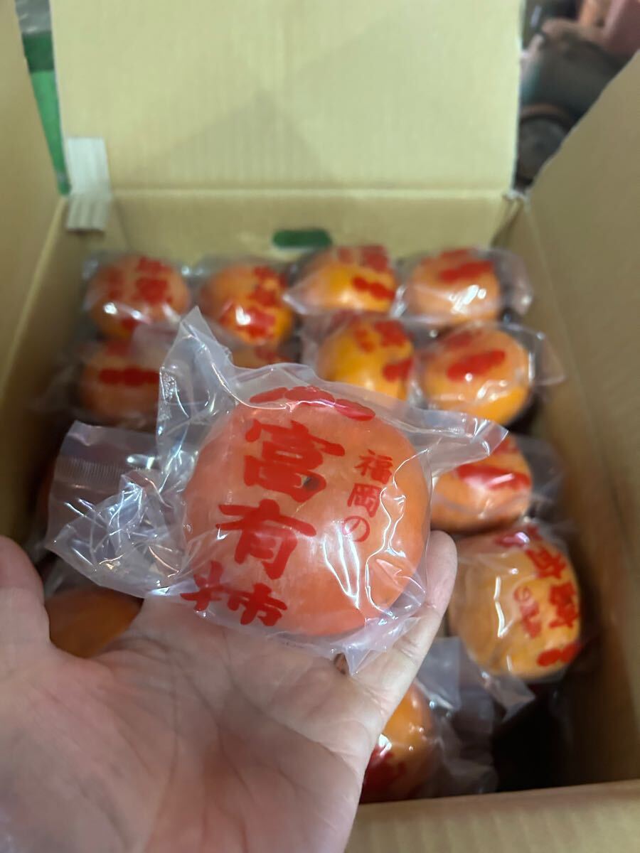 Yahoo!オークション - 冷蔵柿約10キロ