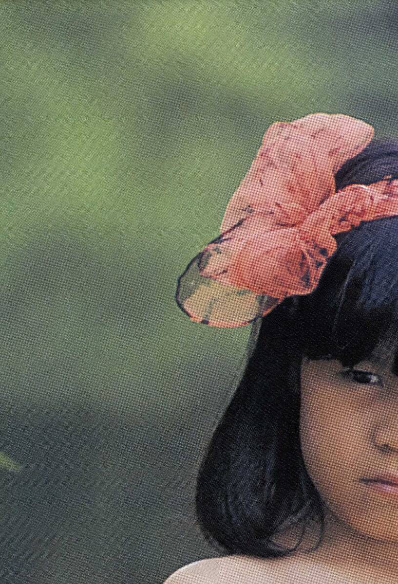 Yahoo!オークション - 海外ドキュメンタリー ⑥ A-3 Pic 3130