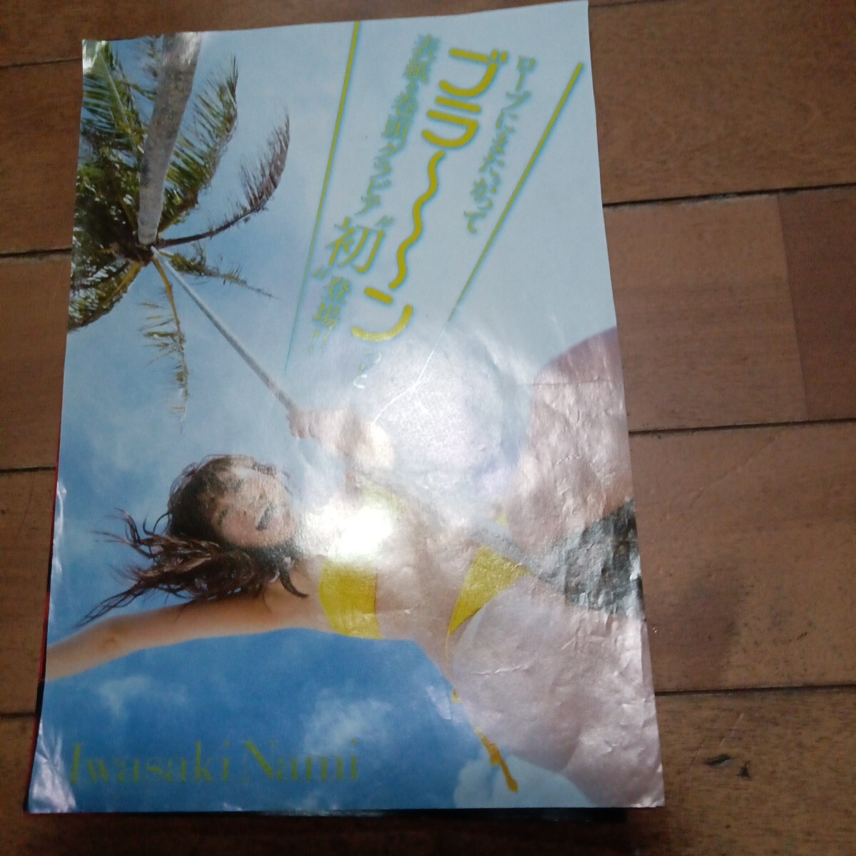 Yahoo!オークション - 【雑誌切り抜き】 岩崎名美 13P