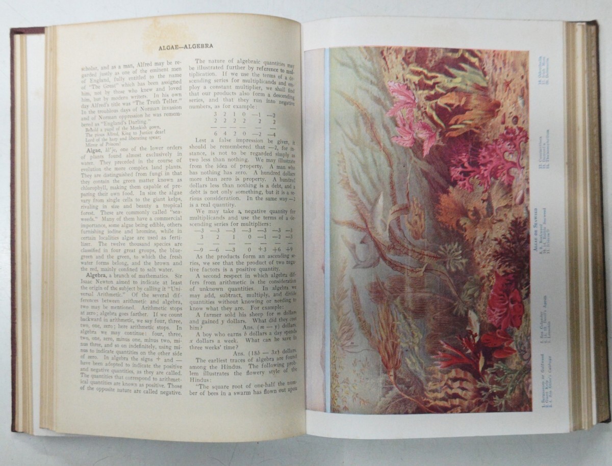 Yahoo!オークション - y1213-3. New Standard Encyclopedia Systematiz...