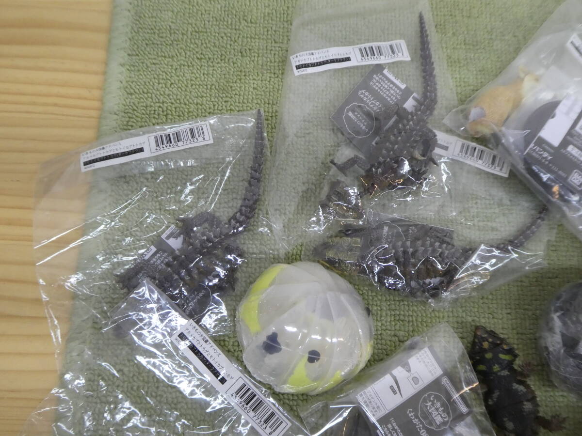 Yahoo!オークション - 103-Z10) 現状品 いきもの大図鑑 フィギュア ま...