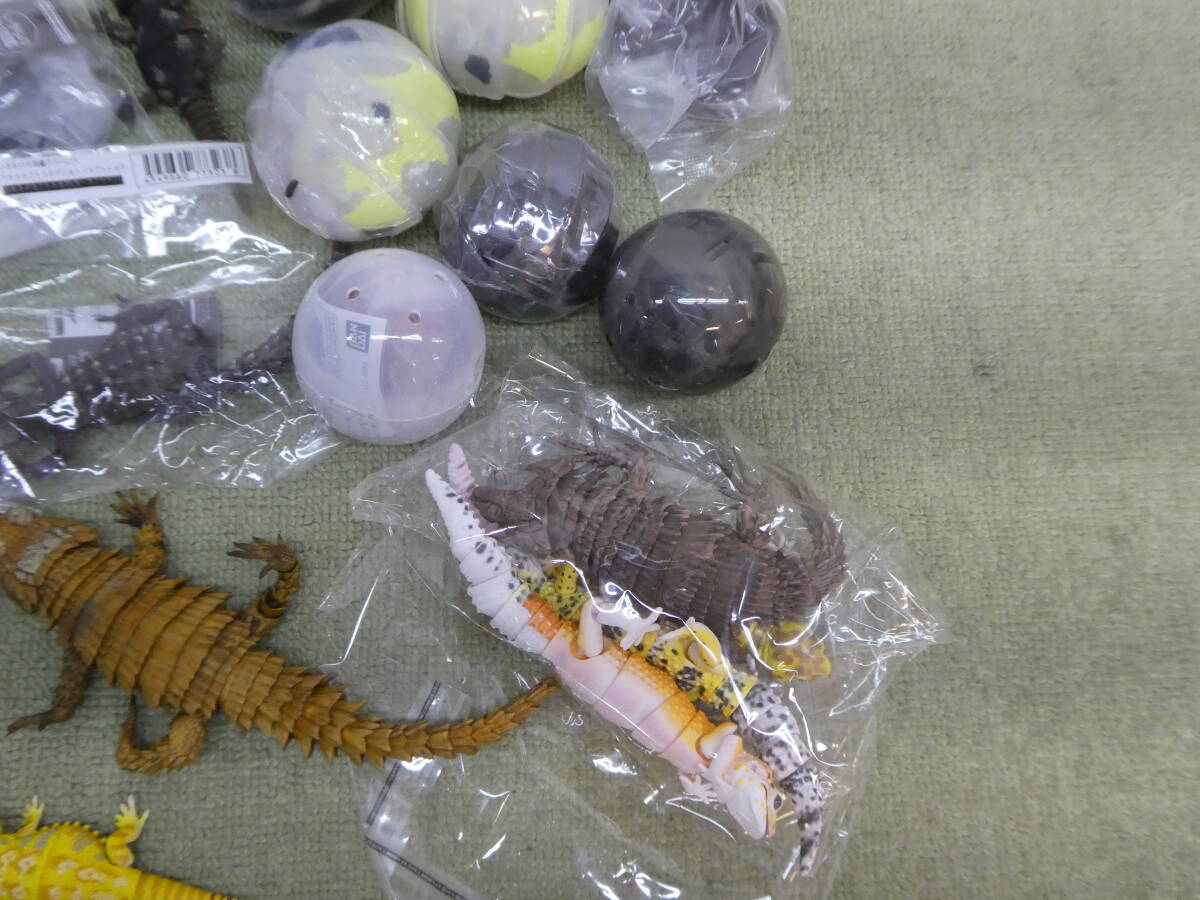 Yahoo!オークション - 103-Z10) 現状品 いきもの大図鑑 フィギュア ま...