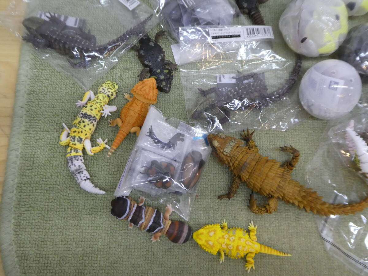 Yahoo!オークション - 103-Z10) 現状品 いきもの大図鑑 フィギュア ま...