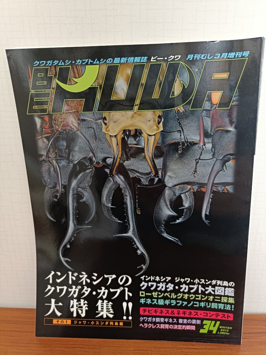 Yahoo!オークション - ビークワ BEKUWA No34 中古美品