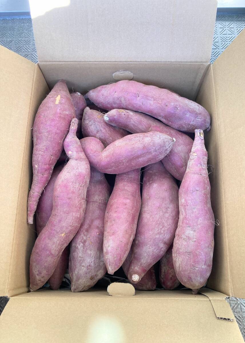 Yahoo!オークション - 【1円スタート】きんとき芋12kg 2Lサイズ 今...