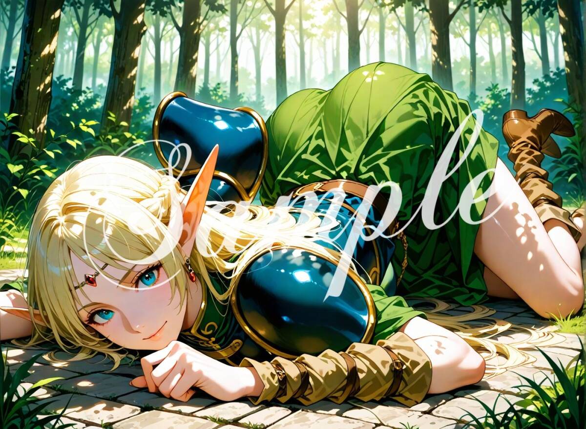 Yahoo!オークション - T01954 ディードリット ロードス島戦記 A4 ポス...