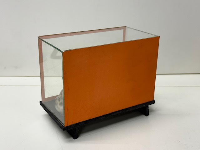 Yahoo!オークション - 【2258】 石垣島 サンゴ さんご ガラスケース入...