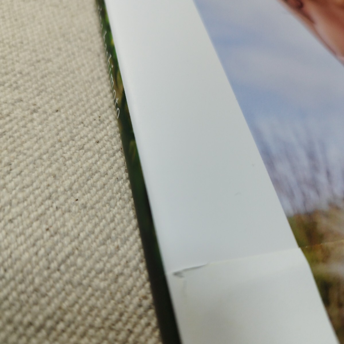 Yahoo!オークション - greendays 橋本梨菜 写真集 帯付き 初版 10周年...