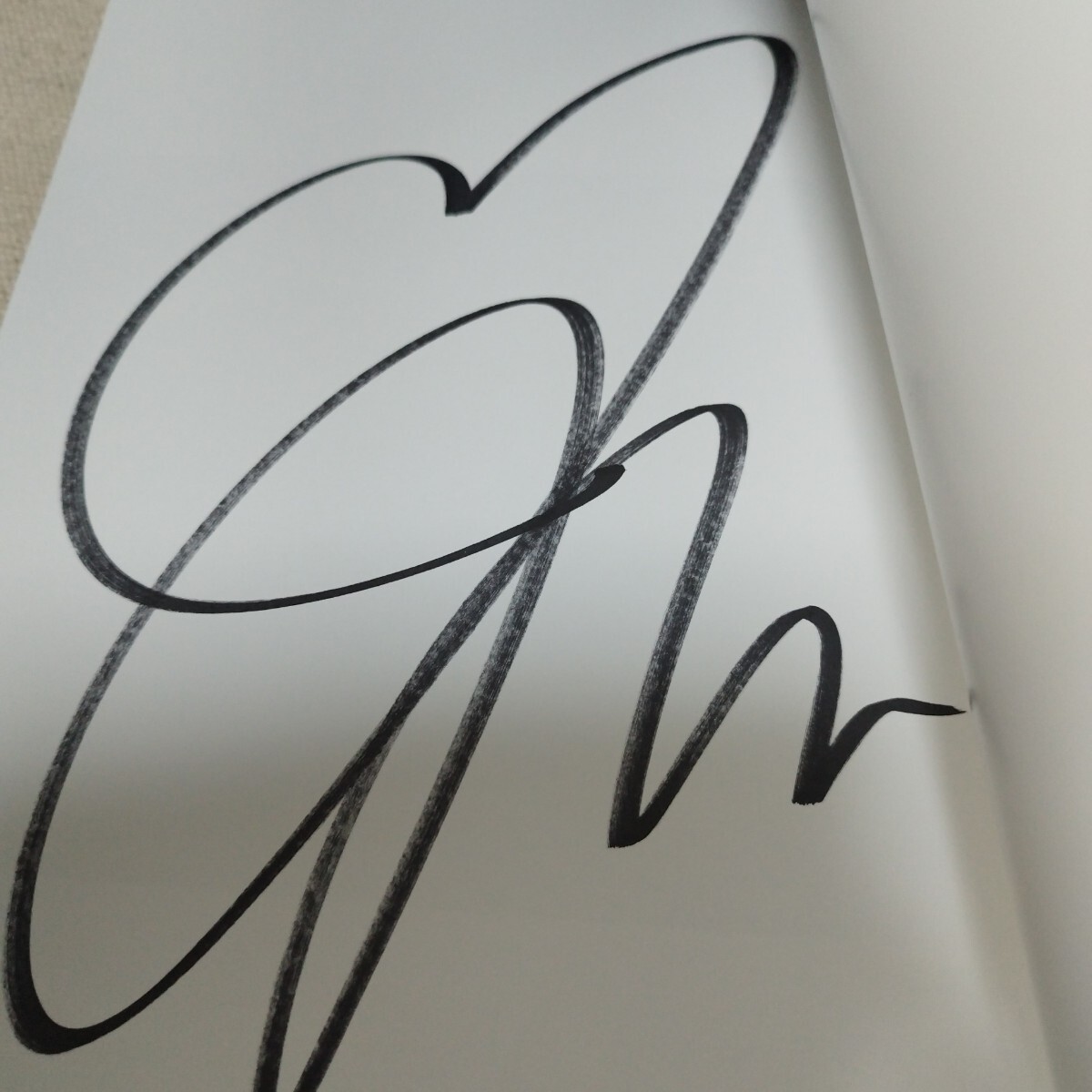 Yahoo!オークション - 橋本梨菜 デビュー10周年記念写真集 greendays ...