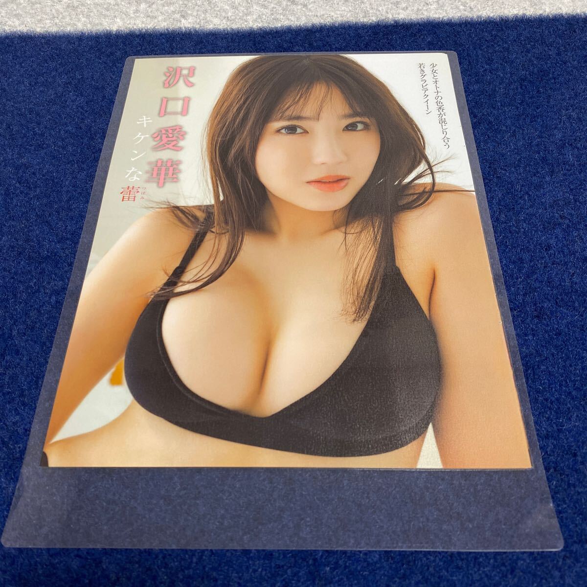 Yahoo!オークション - 【ラミネート加工・切り抜き】沢口愛華 6P 水着 ...