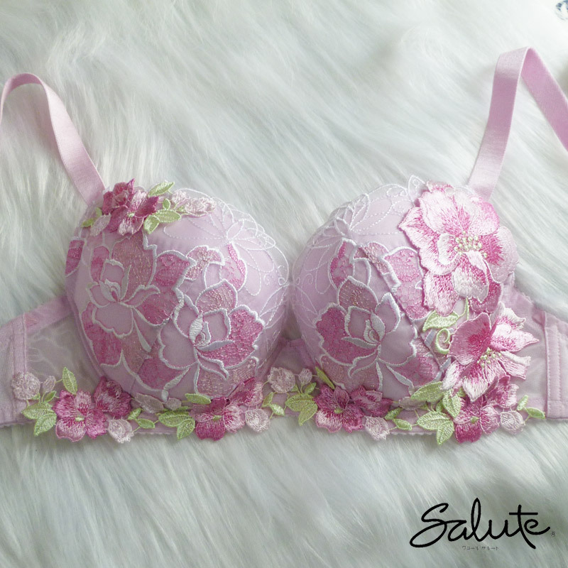 Yahoo!オークション - ワコール サルート Salute ブラジャー BTJ422 F6...