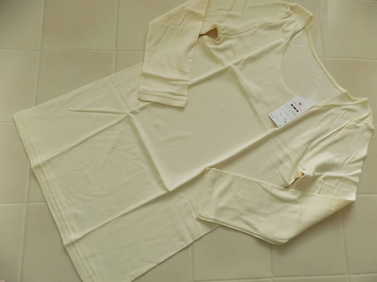 Yahoo!オークション - ワコールWacoal FRESHEフレシィ 長袖・Lサイズ ...