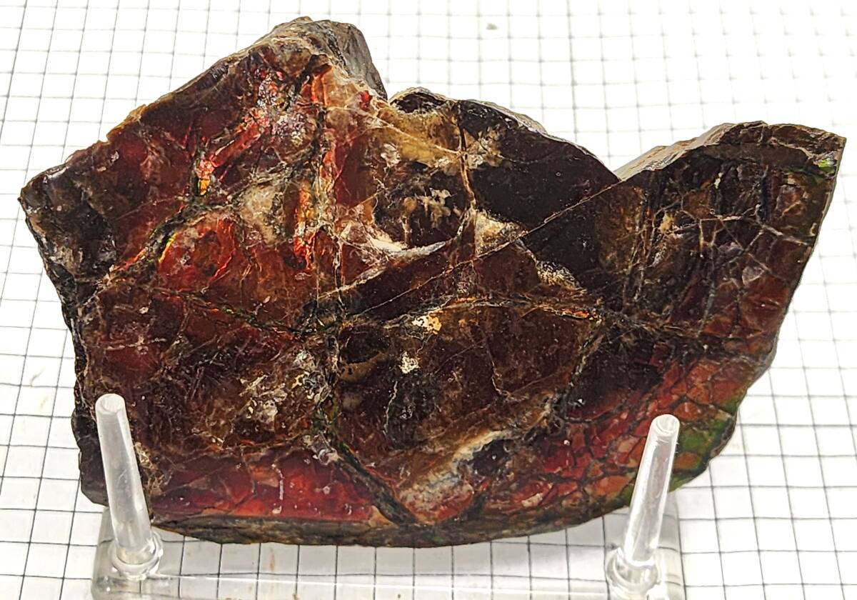 Yahoo!オークション - 0358 カナダ産アンモライト化石 約165g