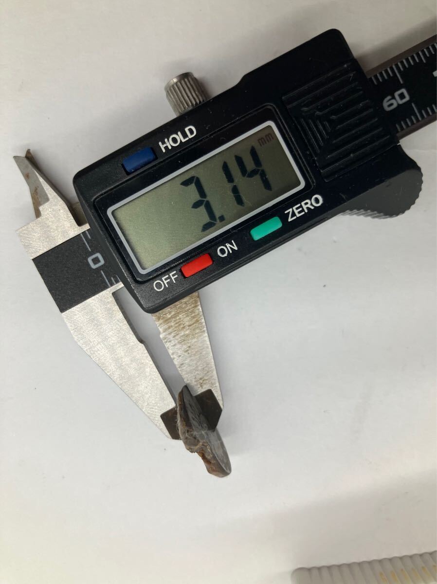 Yahoo!オークション - 【E/H0】化石 アンモナイト 黄鉄鉱化 ジュラ紀 ...