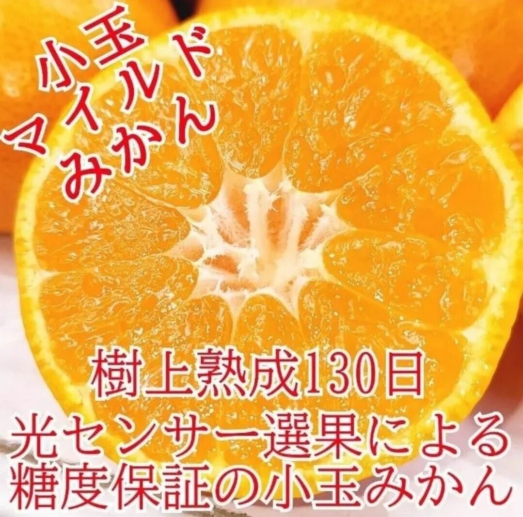 Yahoo!オークション - 福岡産 山川マイルド130みかん 2s.sサイズ 3kg ...