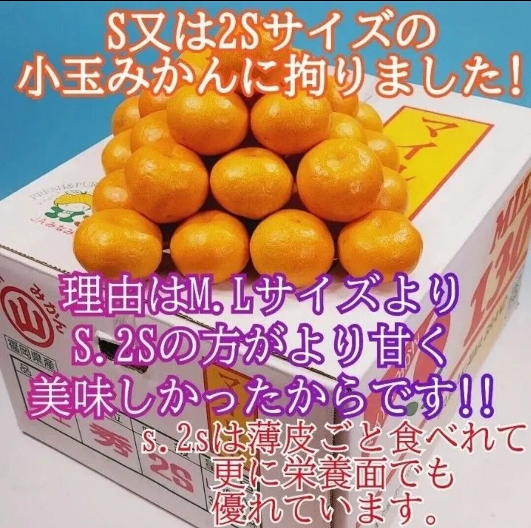 Yahoo!オークション - 福岡産 山川マイルド130みかん 2s.sサイズ 3kg ...