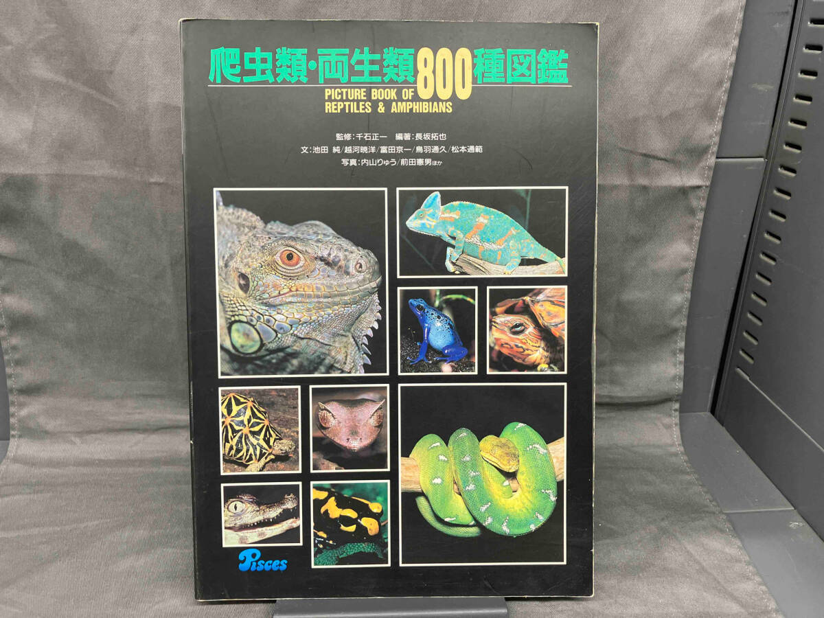 爬虫類・両生類800種図鑑 長坂拓也 :: Yahoo!Auction｜DEJAPAN - Bid and Buy Japan with 0% commission