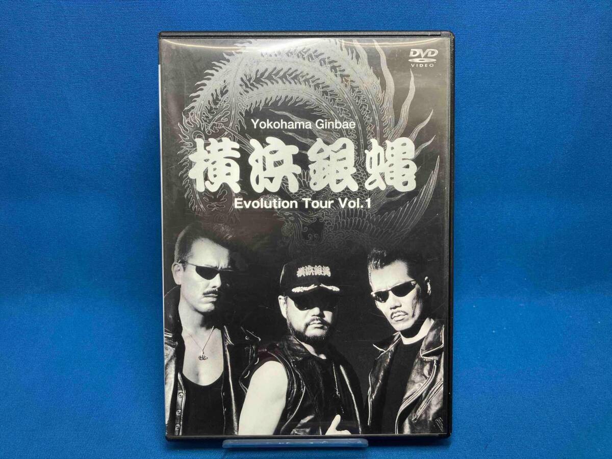 Yahoo!オークション - DVD EVOLUTION TOUR VOL.1
