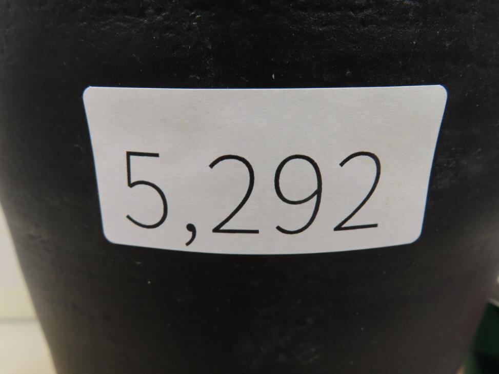 Yahoo!オークション - 5292 「多肉植物」ユーフォルビア ギラウミニア...