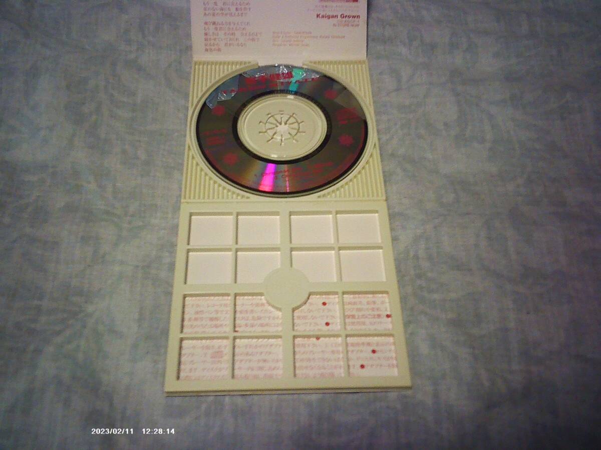 Yahoo!オークション - 8cmCD 8センチCD 宮手健雄 テミヤン クリスマス...