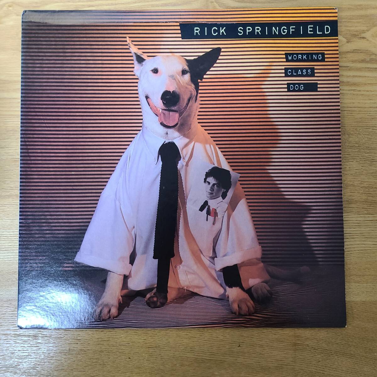 Yahoo!オークション - US盤 RICK SPRINGFIELD/WORKING CLASS DOG AFL1-...