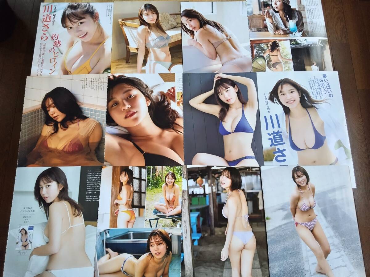 Yahoo!オークション - 川道 さら 新旧切り抜き寄せ集め 37P