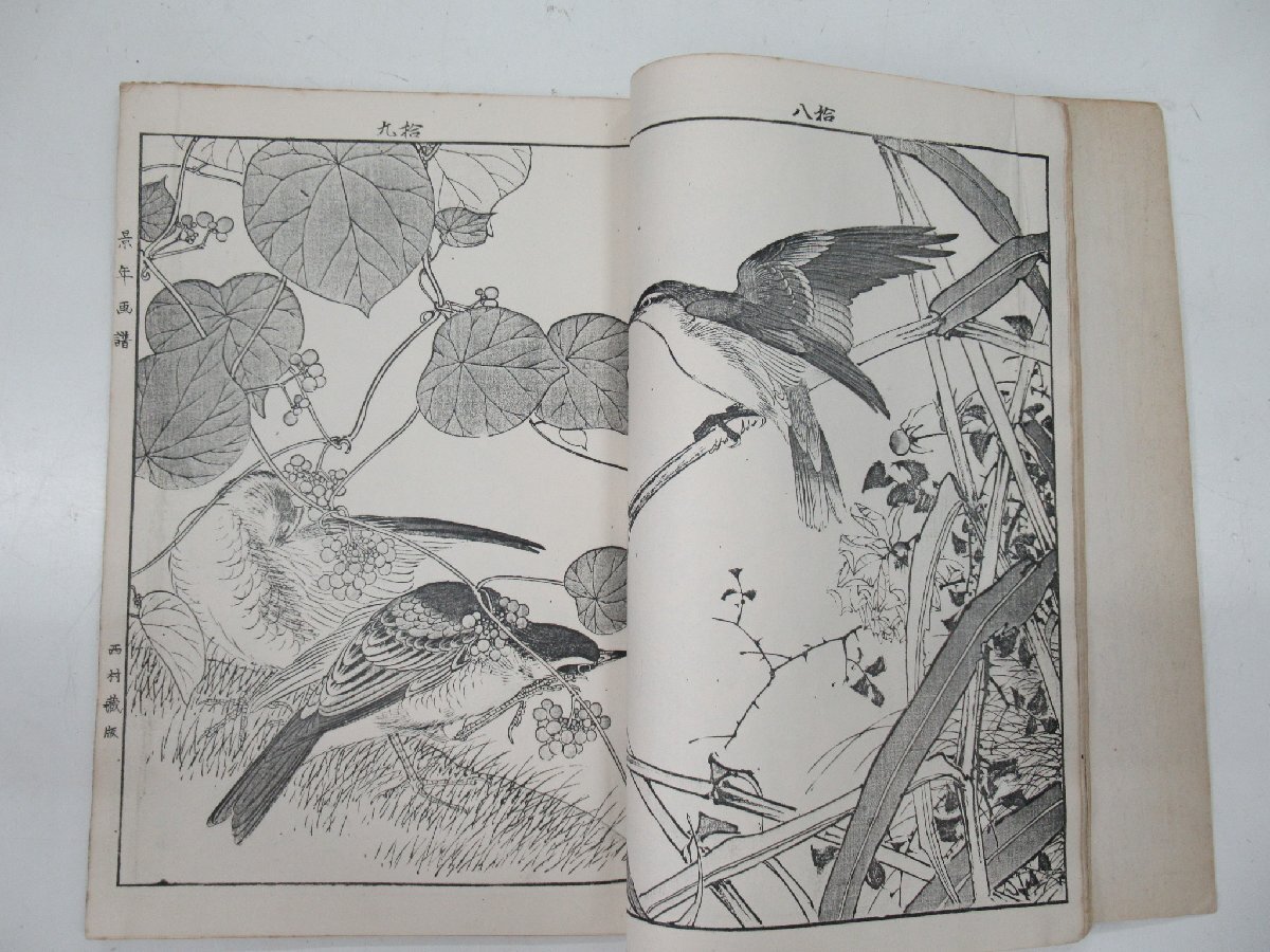 Yahoo!オークション - H272 明治25年発行 今尾景年 景年花鳥画譜 春 夏...