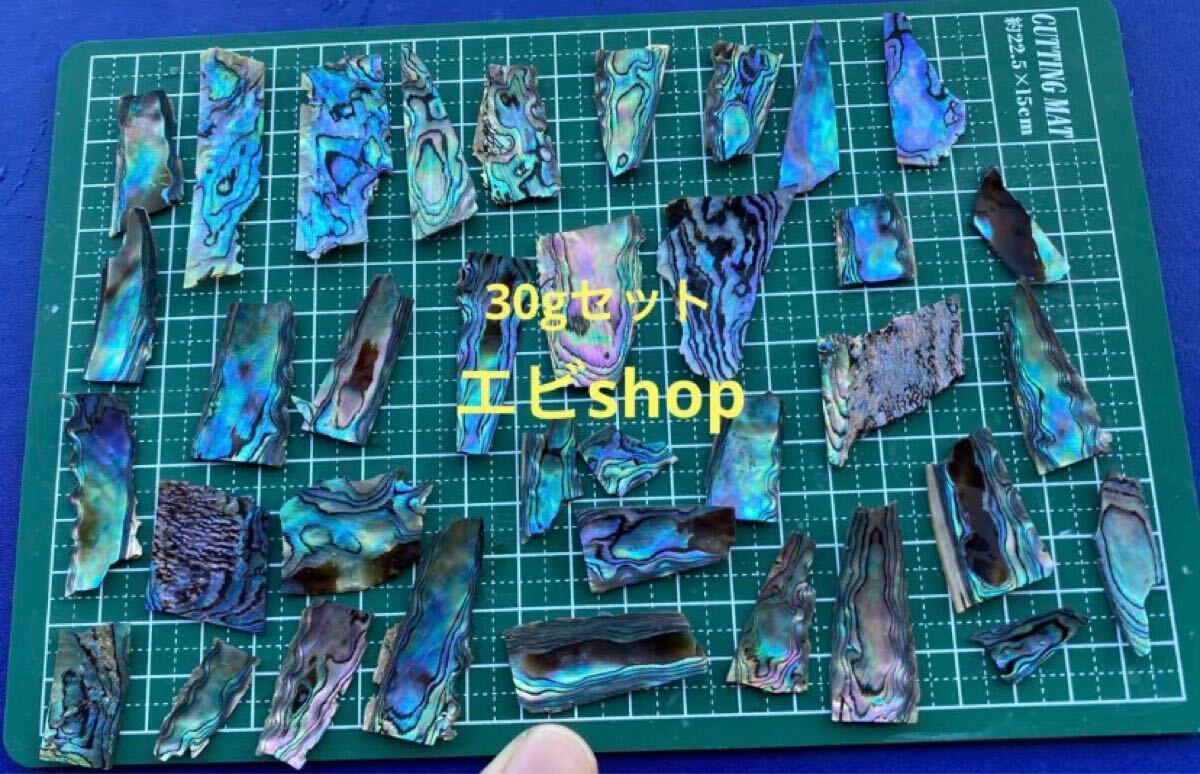 アワビ貝殻 ニュージーランド産 30g2袋 螺鈿細工 ハンドメイド ネイル用シェルパーツなどの材料(材料)｜売買されたオークション情報、yahooの商品情報をアーカイブ公開 - オークファン ...