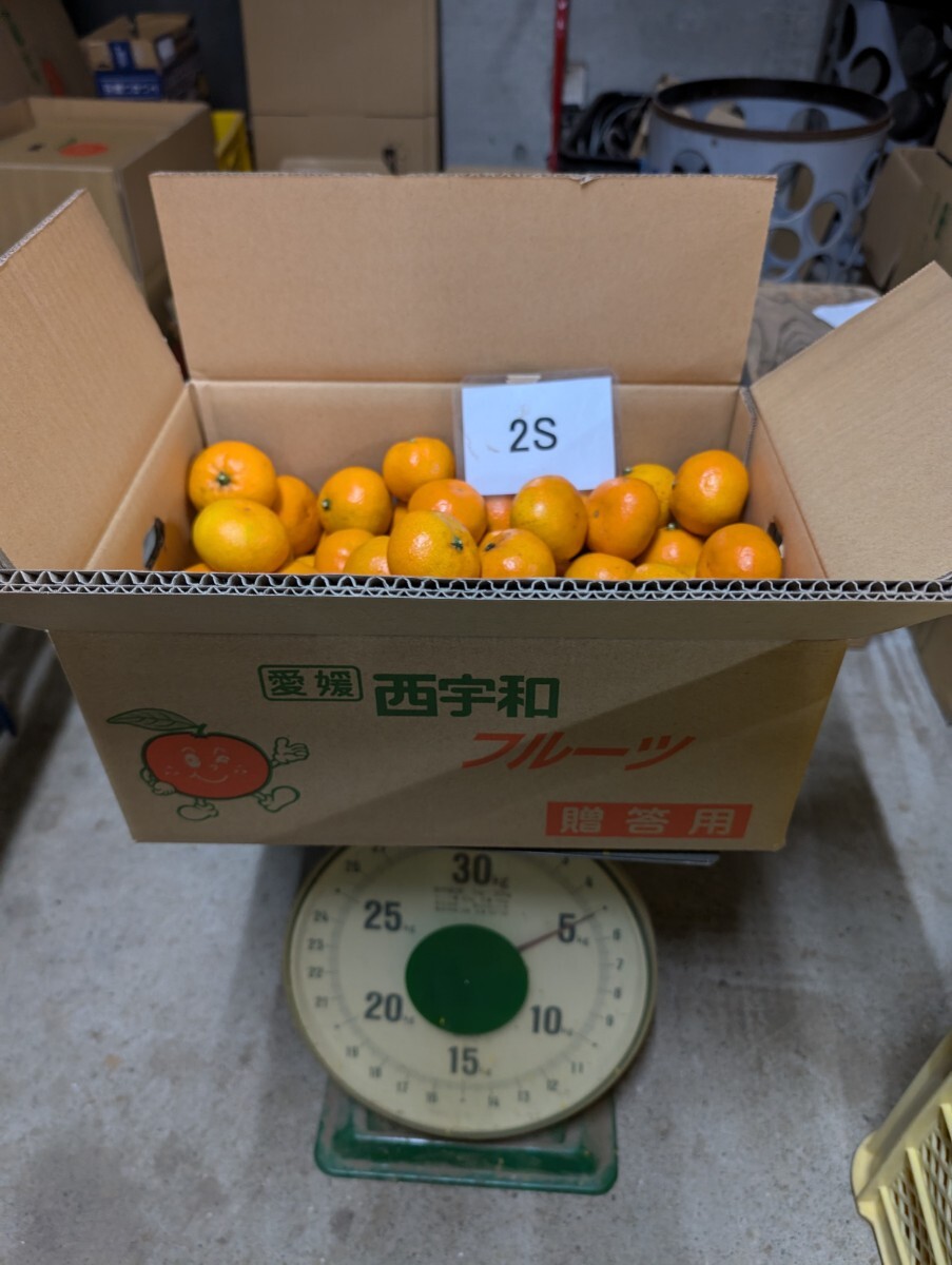 Yahoo!オークション - 愛媛西宇和産 南柑20号みかん 2S 5kg