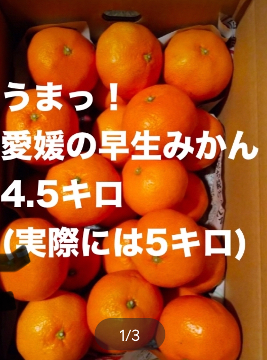 Yahoo!オークション - うまっ 愛媛の早生みかん 2Sから2L混合 4．5キロ...
