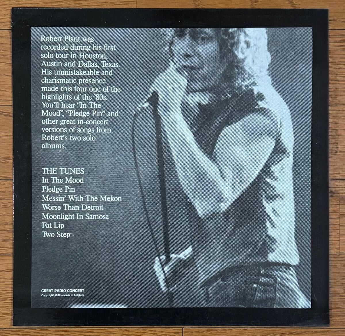 Yahoo!オークション - Robert Plant - Great Radio Concert. / LPレコ...