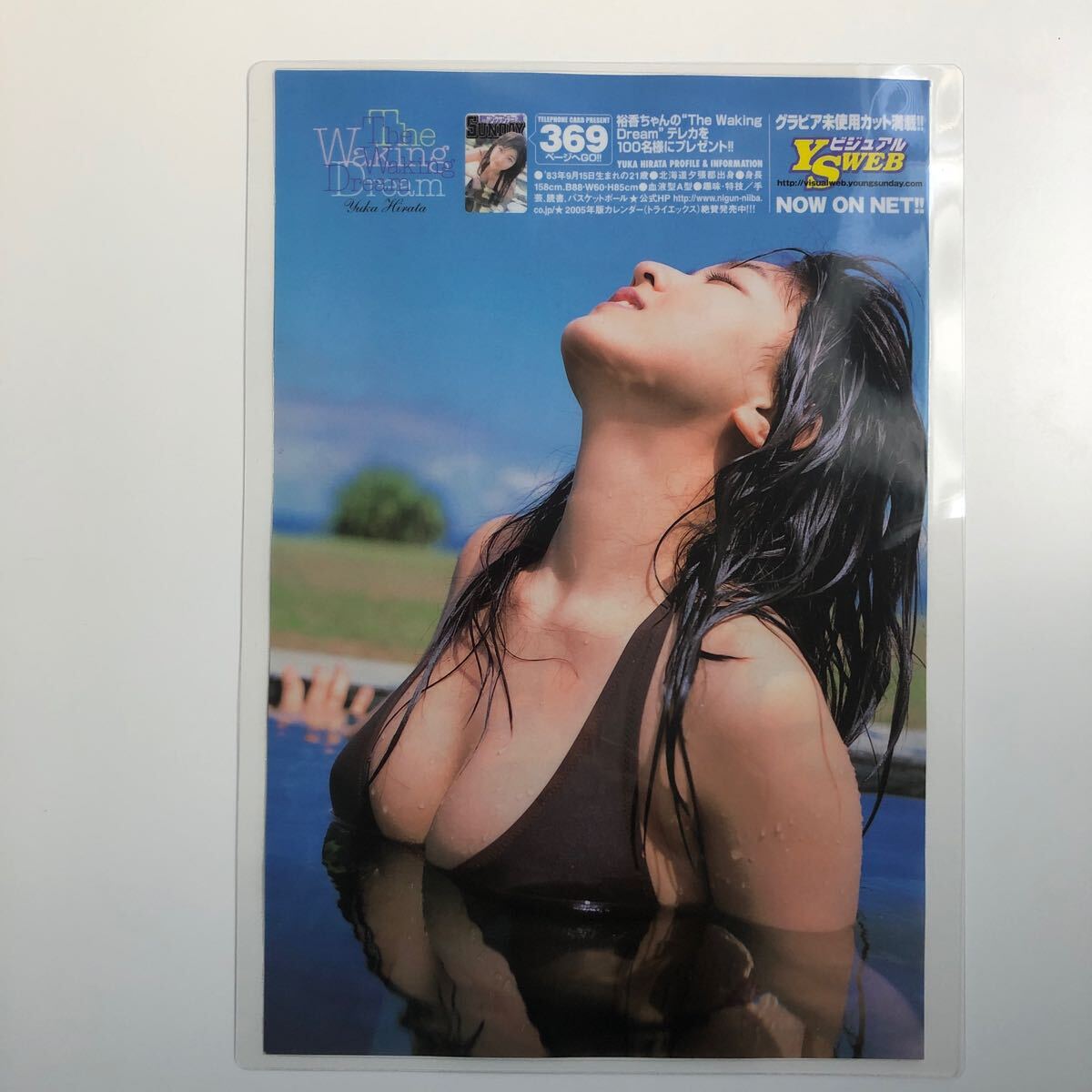 Yahoo!オークション - 平田裕香 ヤングサンデー2004 B5 9p 厚ラミネー...