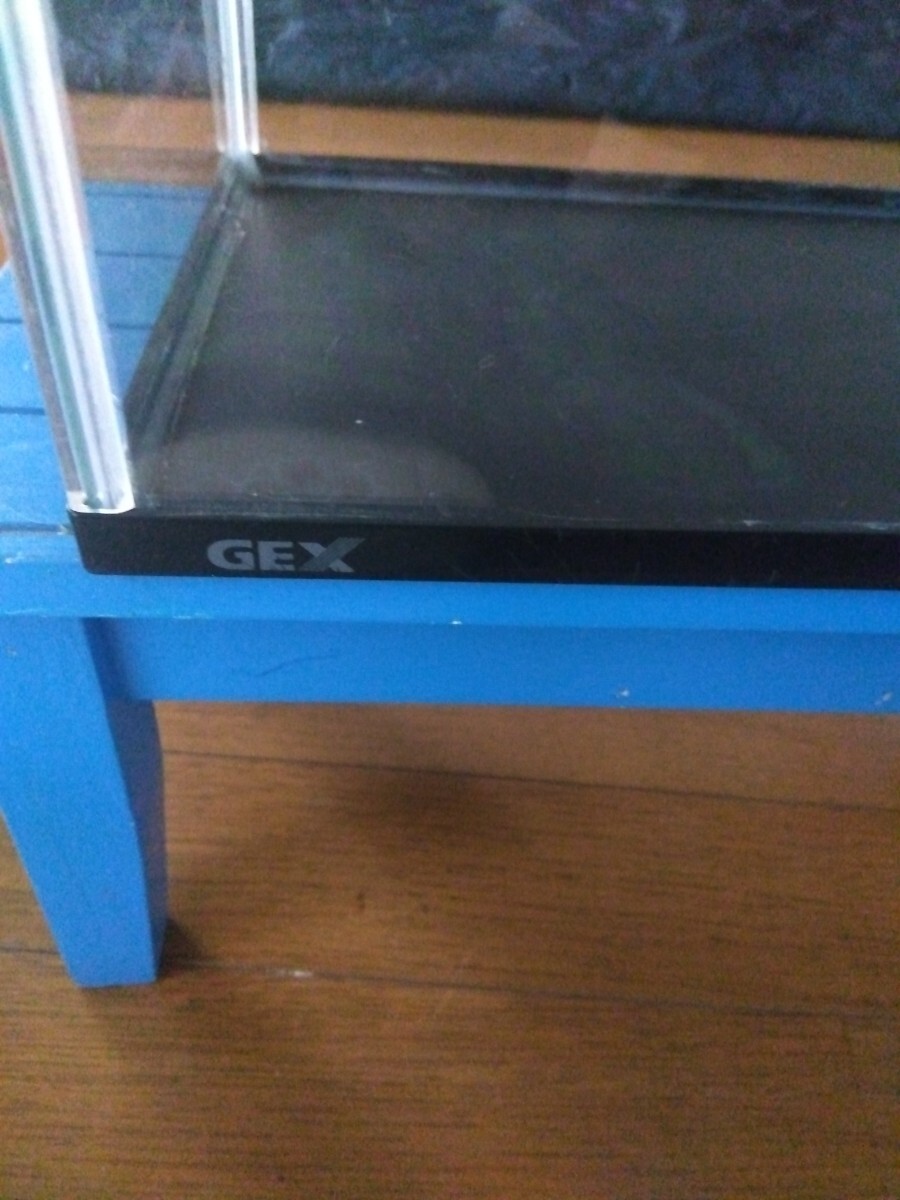 Yahoo!オークション - GEX ガラス水槽 30cm